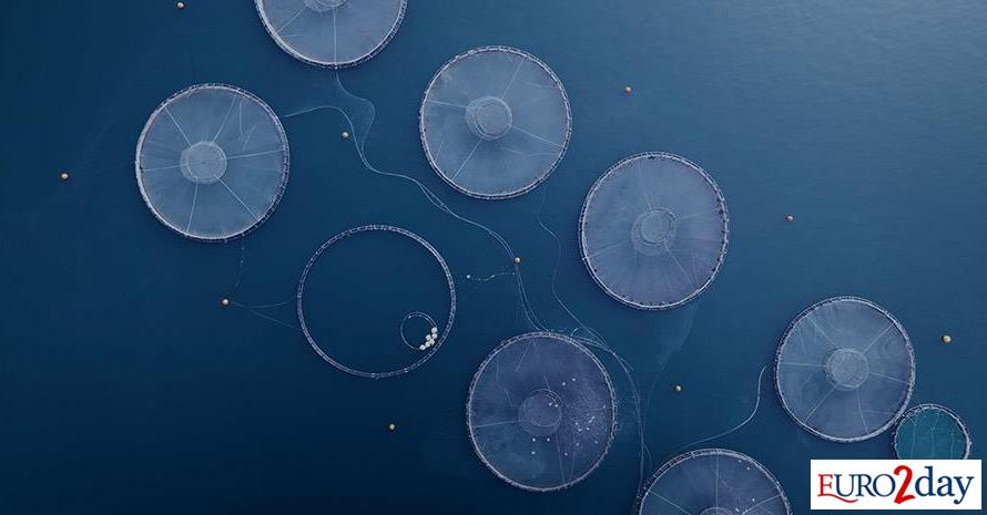 New €4 million package for “spatial planning” in fish farming